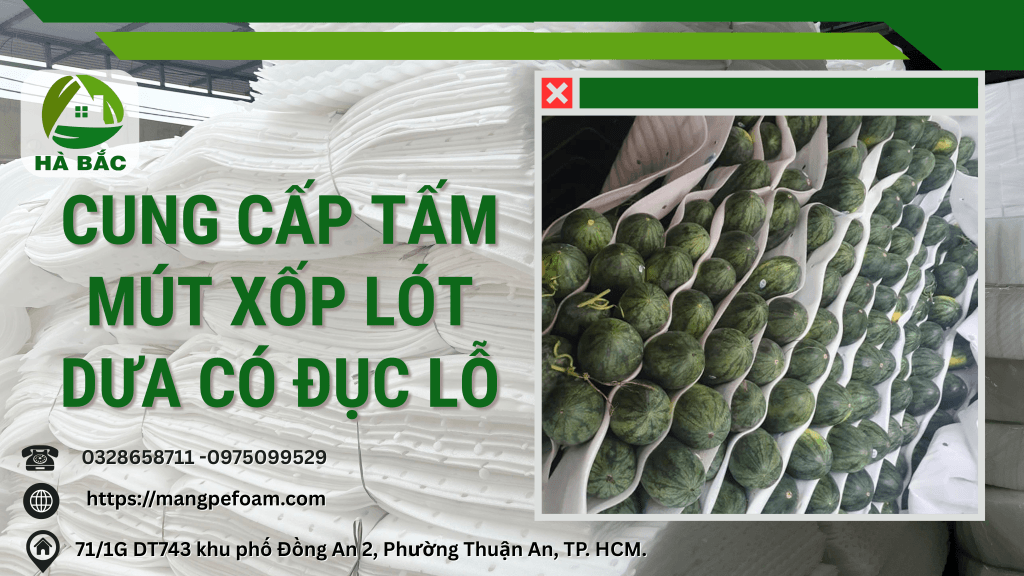 Tấm mút xốp lót dưa có đục lỗ tại Long An chất lượng cao Hà Bắc chuyên ...